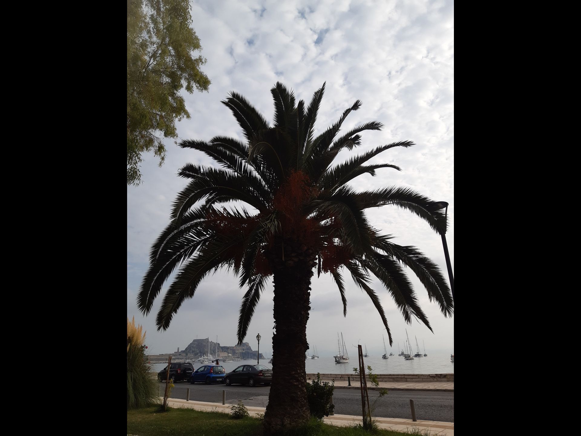 Photos of Ionian by members - Page 479 | Greeka.com