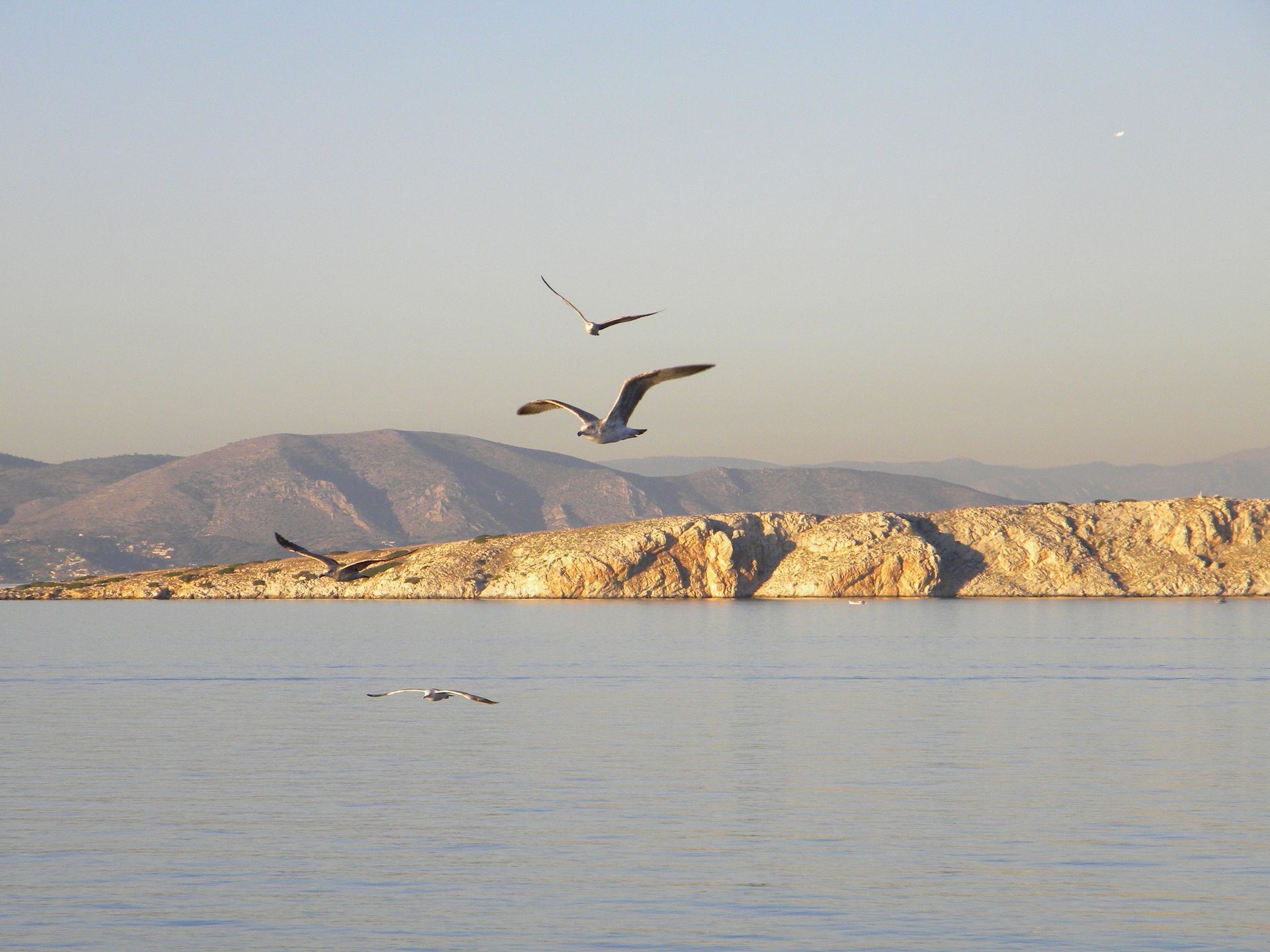 Photos of Greece & the islands by members - Page 120 | Greeka.com