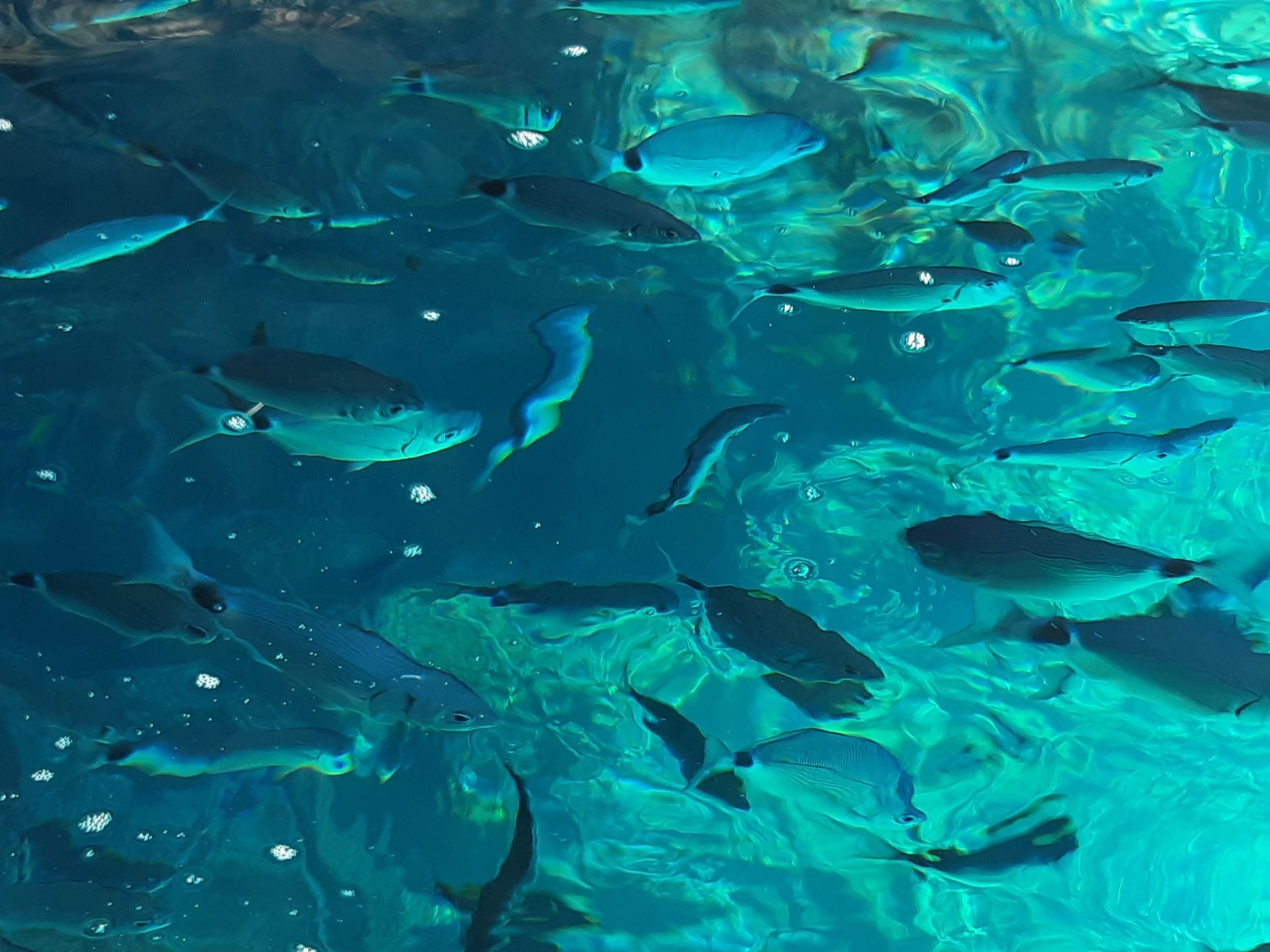 Photos of Corfu by members - Page 50 | Greeka.com