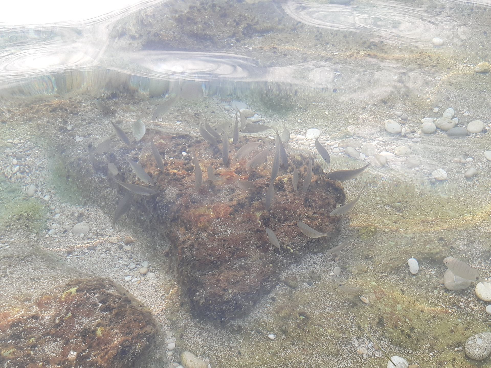 Photos of Ionian by members - Page 479 | Greeka.com