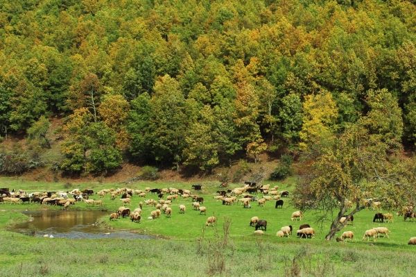 Photos of Greece & the islands by members - Page 161 | Greeka.com