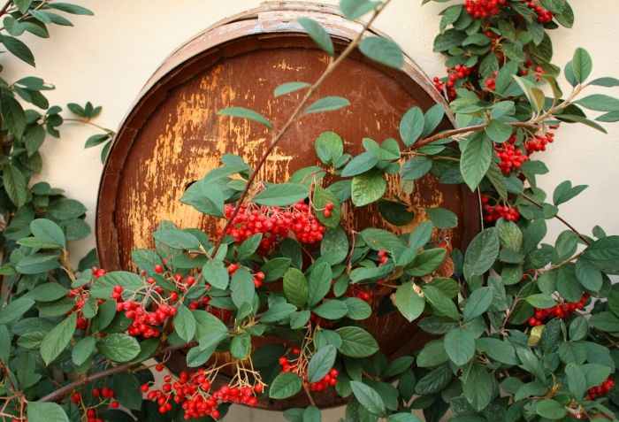 Photos of Greece & the islands by members - Page 298 | Greeka.com