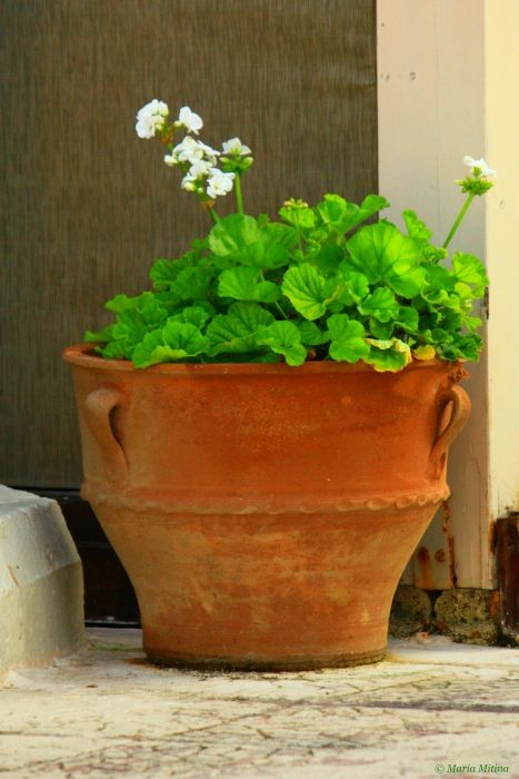 Photos of Greece & the islands by members - Page 224 | Greeka.com