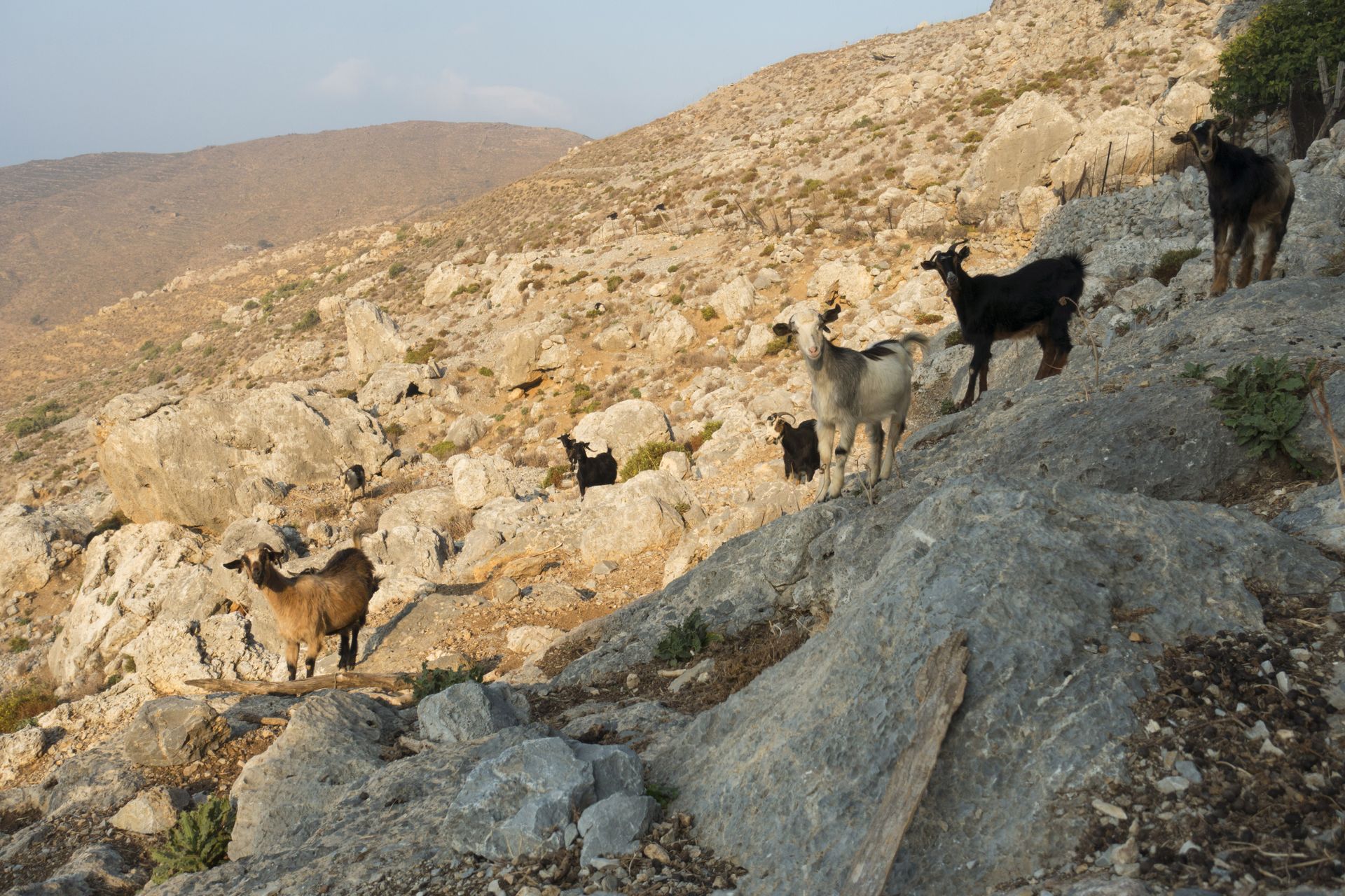 Photos of Dodecanese by members - Page 338 | Greeka.com