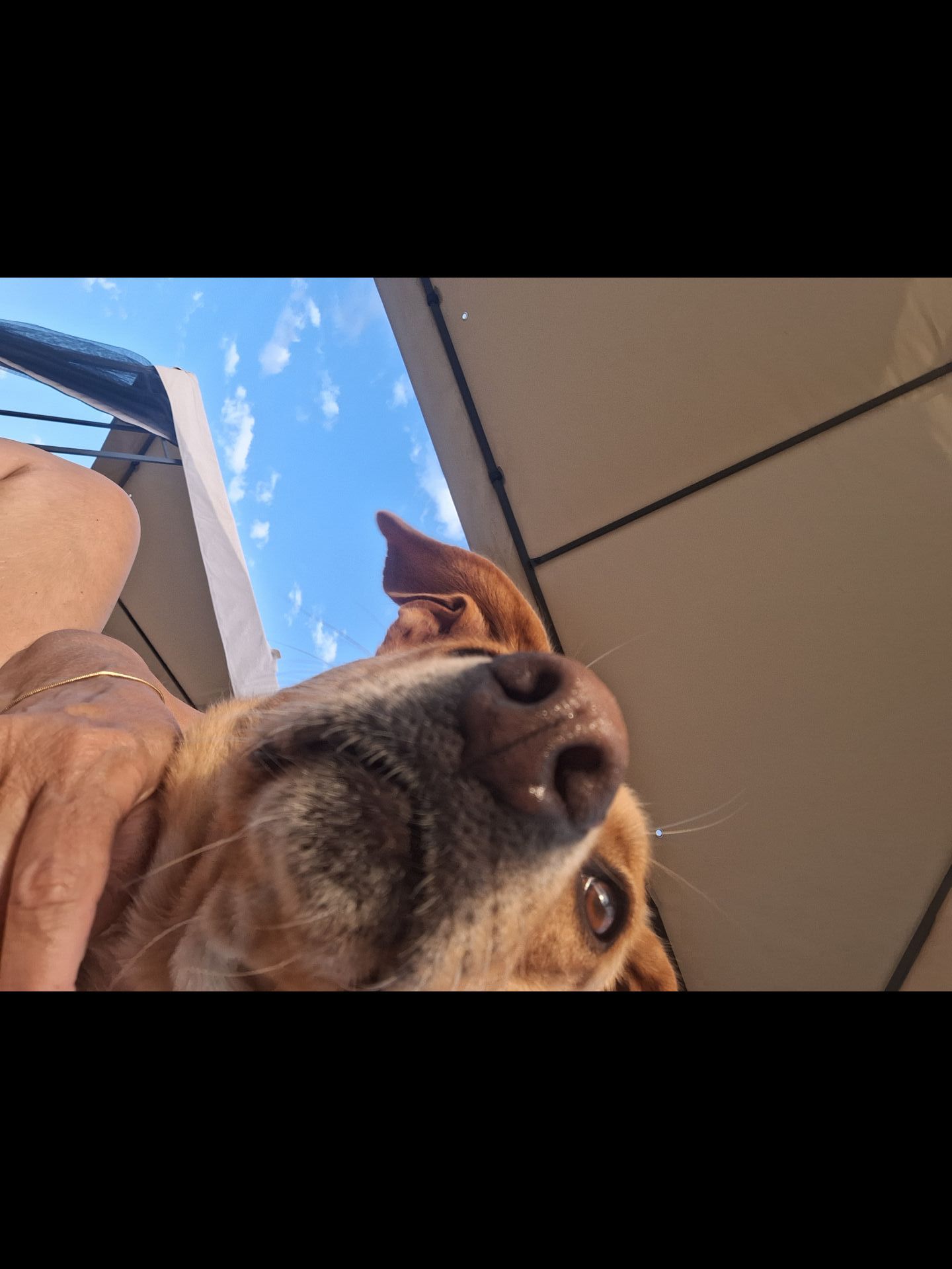 Photos of Greece & the islands by members - Page 764 | Greeka.com