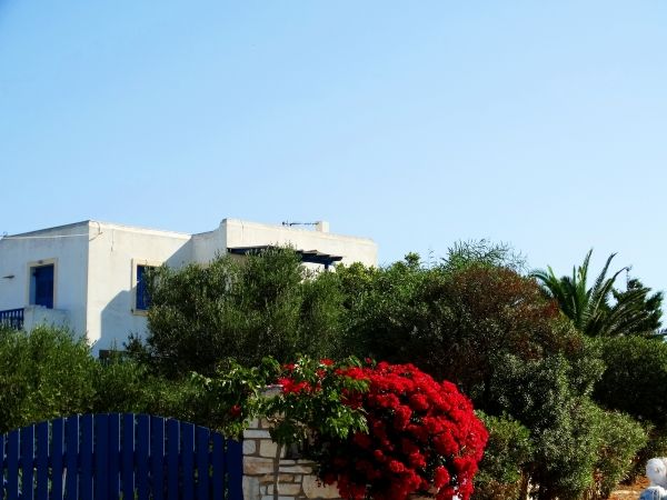 Photos of Cyclades by members - Page 2543 | Greeka.com