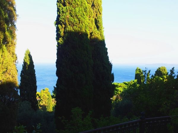 Photos of Corfu by members - Page 254 | Greeka.com