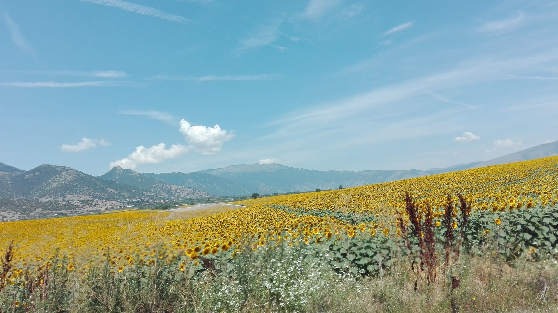 Photos of Greece & the islands by members - Page 45 | Greeka.com