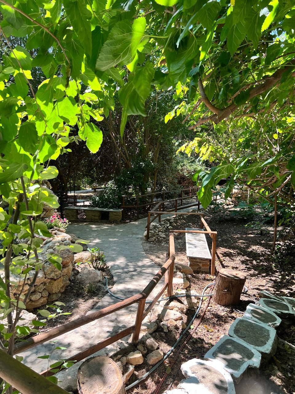Photos of Butterflies Valley in Paros by members - Page 3 | Greeka.com