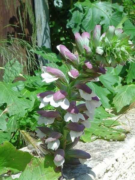 Photos of Eastern Aegean by members - Page 235 | Greeka.com