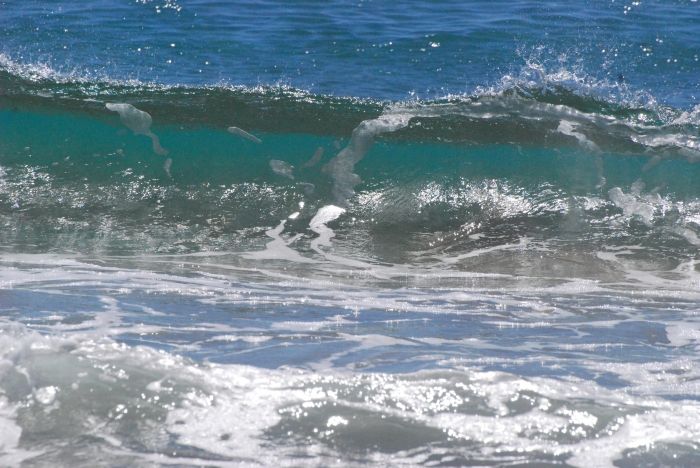 Photos of Cyclades by members - Page 1333 | Greeka.com