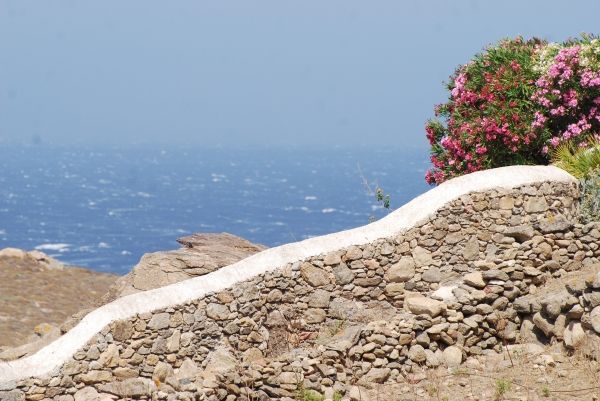 Photos of Cyclades by members - Page 1797 | Greeka.com