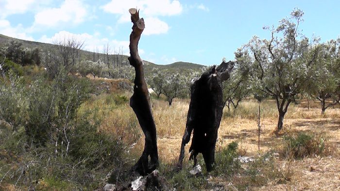 Photos of Zakynthos by members - Page 103 | Greeka.com