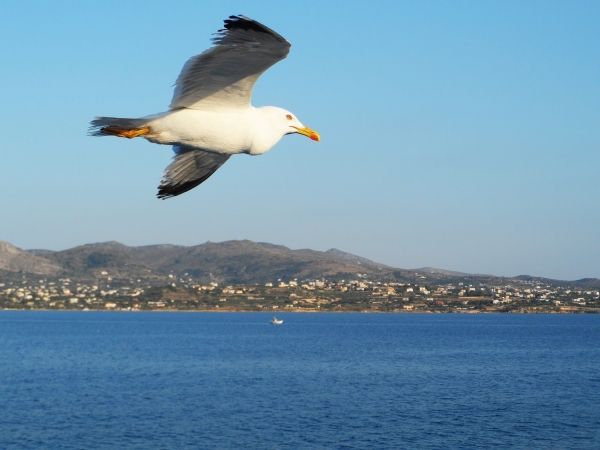 Photos of Saronic by members - Page 12 | Greeka.com