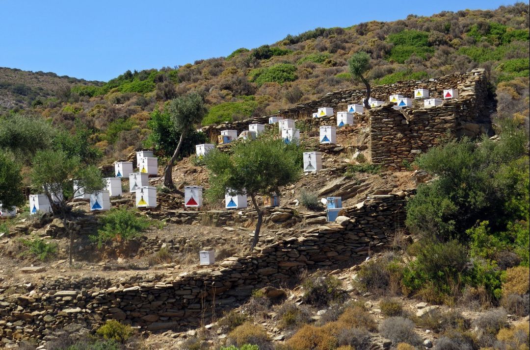 Photos of Eastern Aegean by members - Page 164 | Greeka.com