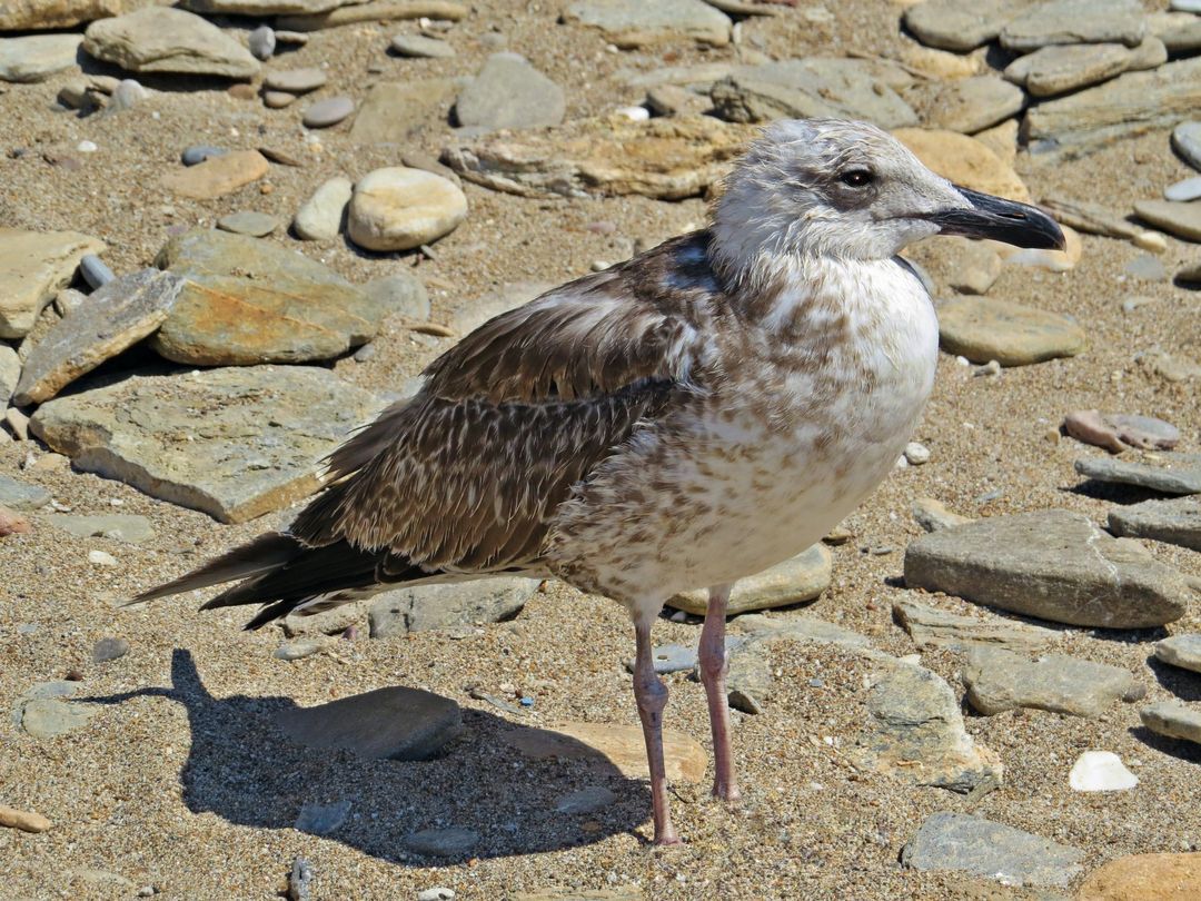 Photos of Eastern Aegean by members - Page 120 | Greeka.com