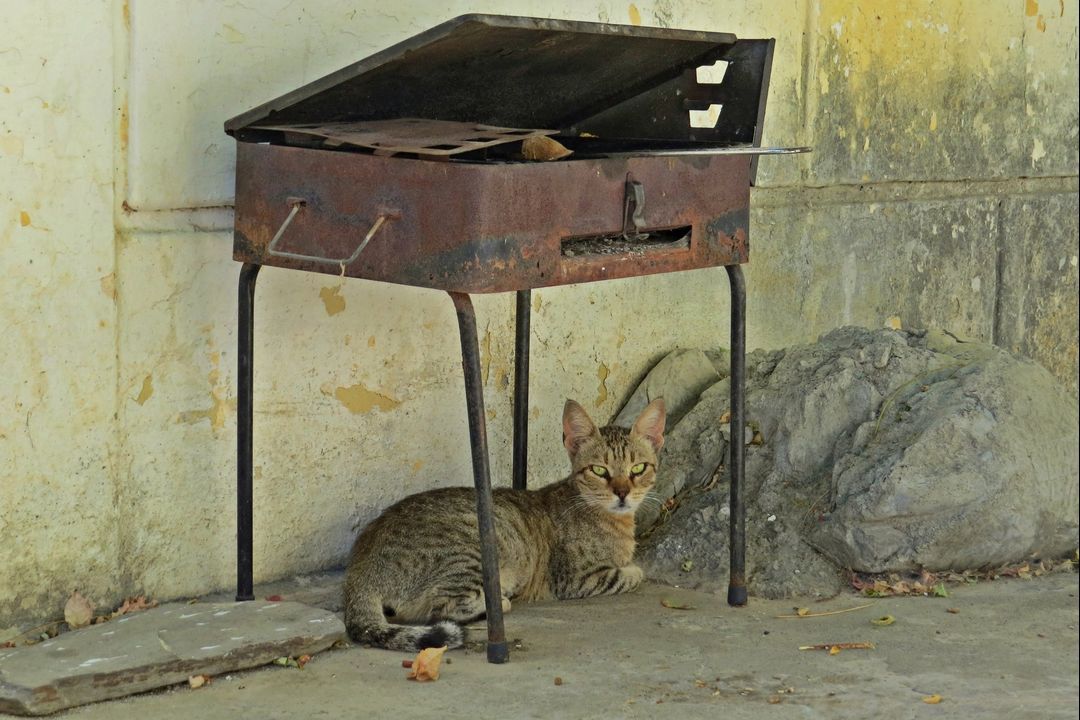 Photos of Eastern Aegean by members - Page 233 | Greeka.com