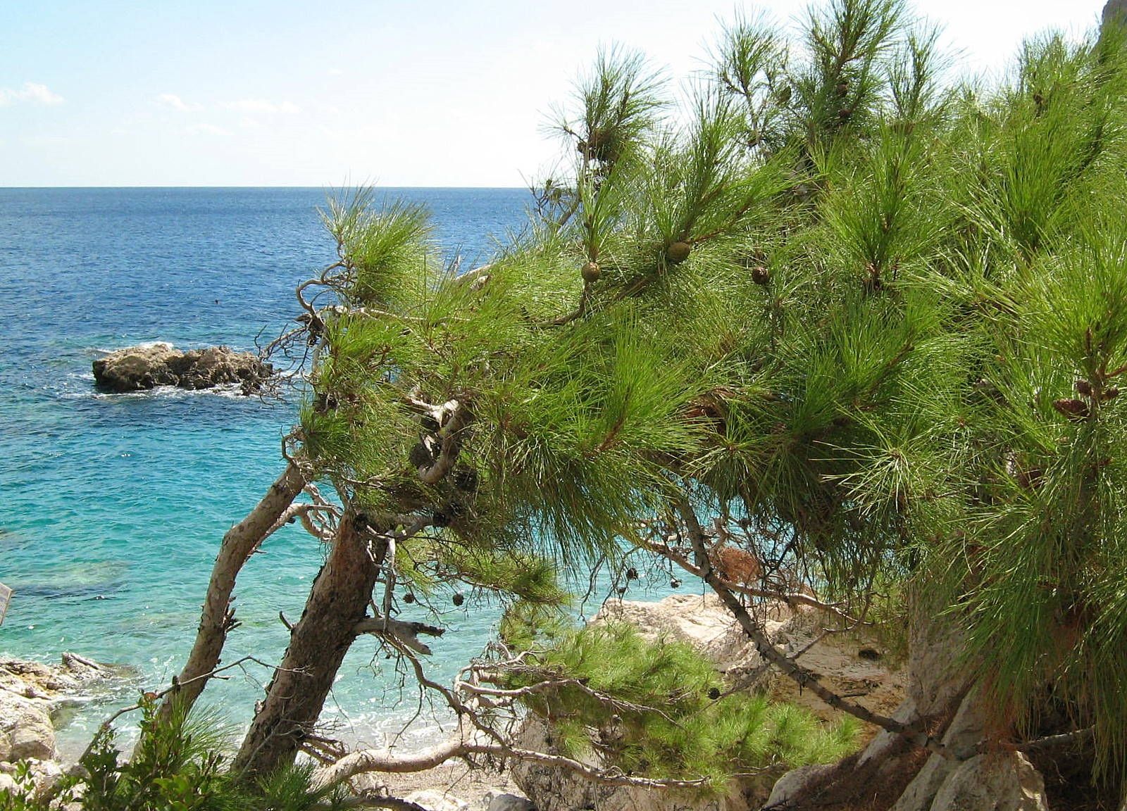 Photos of Dodecanese by members - Page 371 | Greeka.com