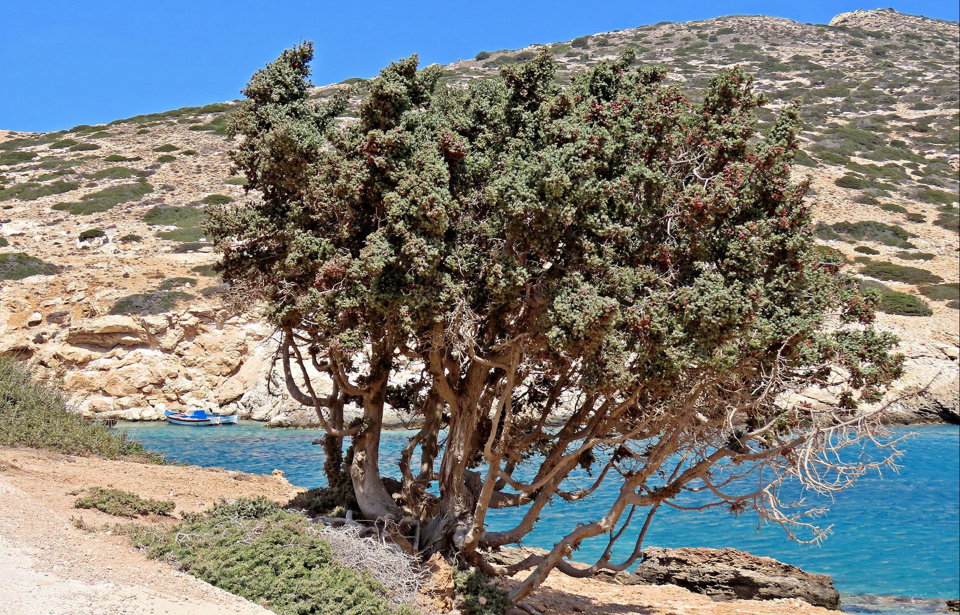 Photos of Cyclades by members - Page 186 | Greeka.com