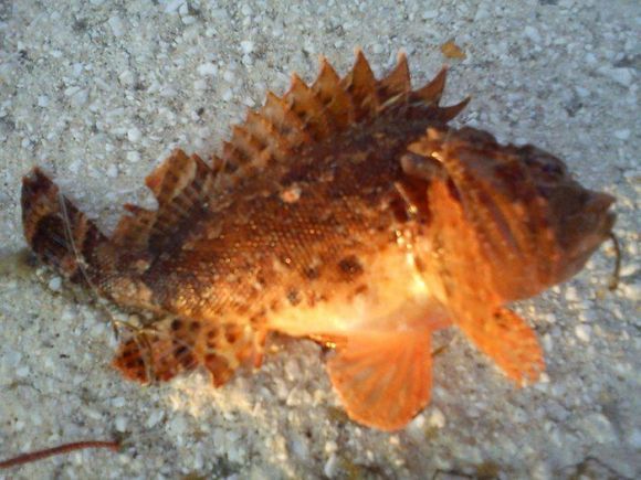 Photos of Greece & the islands by members - Page 474 | Greeka.com