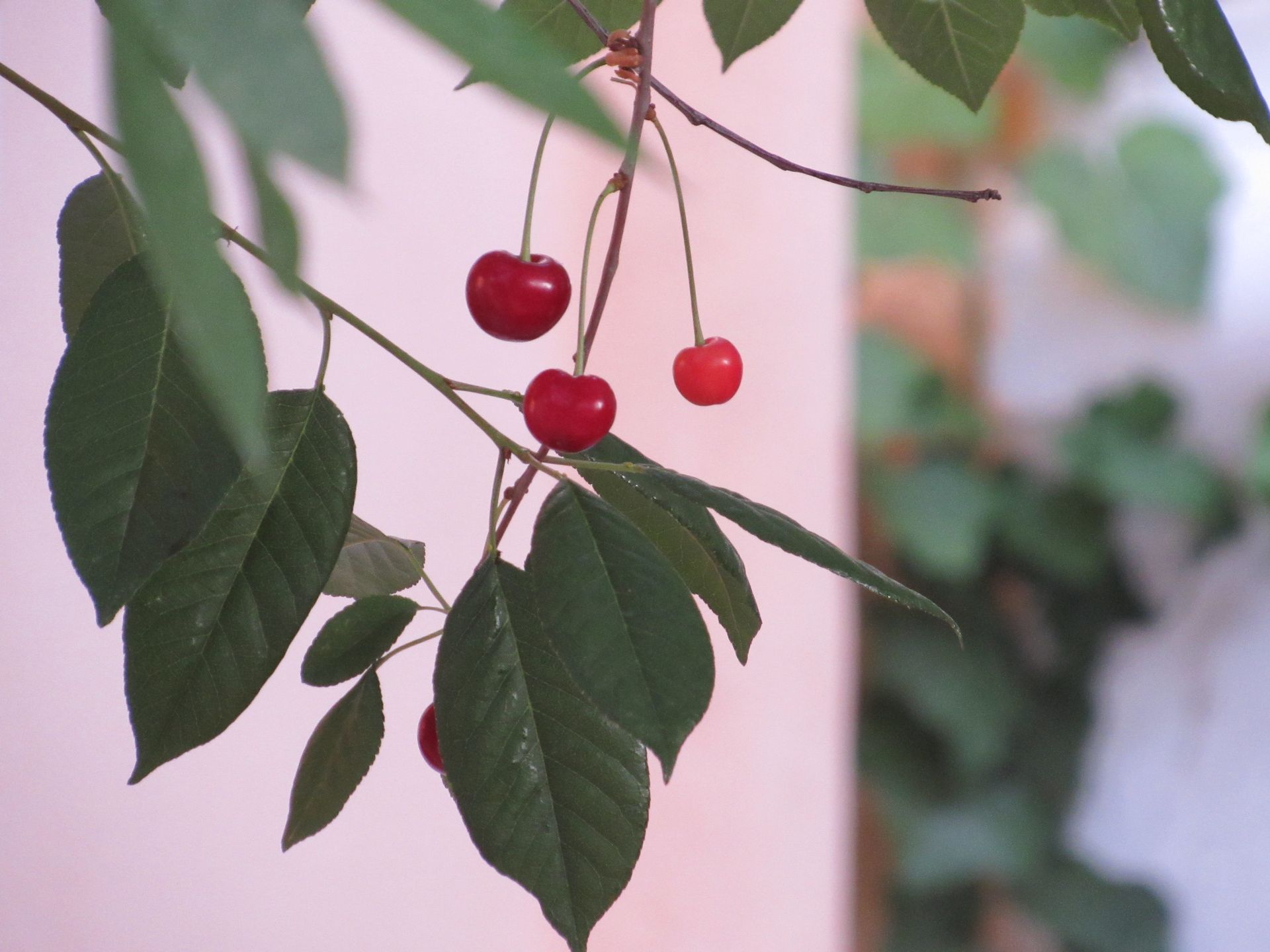 Photos of Cyclades by members - Page 2597 | Greeka.com