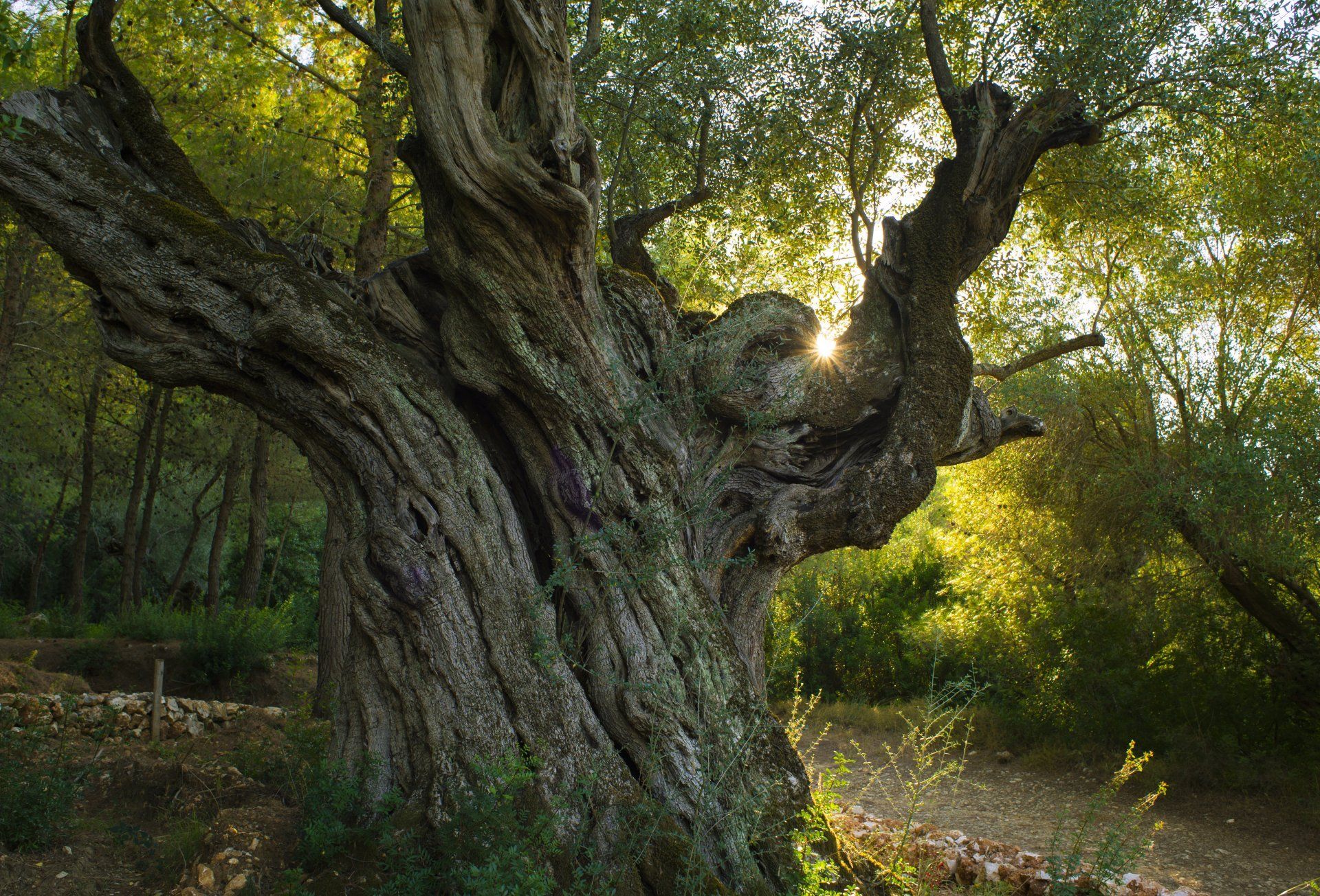 Photos of Greece & the islands by members - Page 66 | Greeka.com