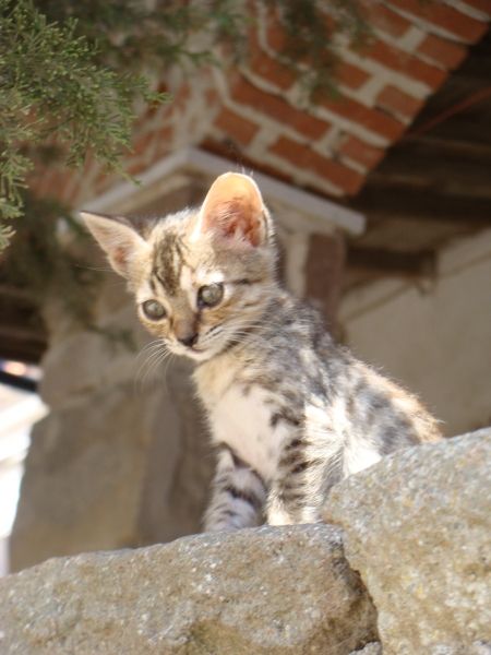 Photos of Eastern Aegean by members - Page 235 | Greeka.com