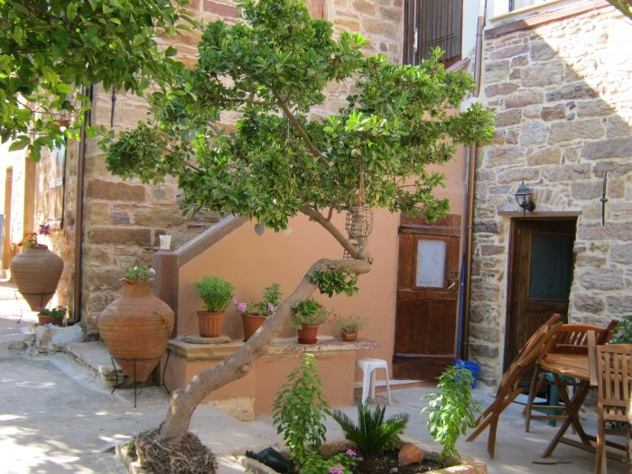 Photos of Eastern Aegean by members - Page 368 | Greeka.com