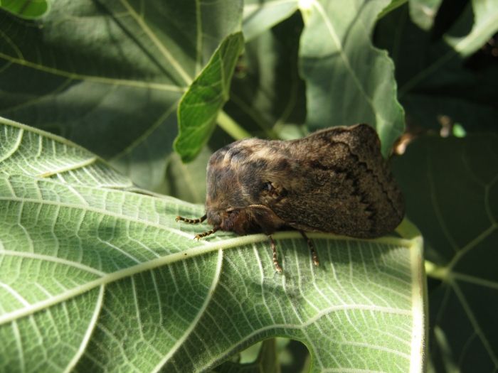 Photos of Eastern Aegean by members - Page 341 | Greeka.com