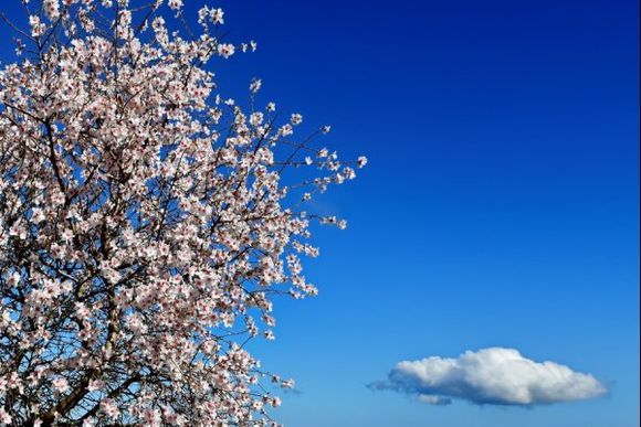 Photos of Greece & the islands by members - Page 12 | Greeka.com