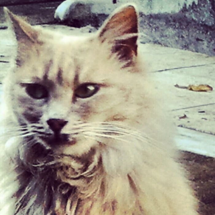 Photos of Greece & the islands by members - Page 225 | Greeka.com