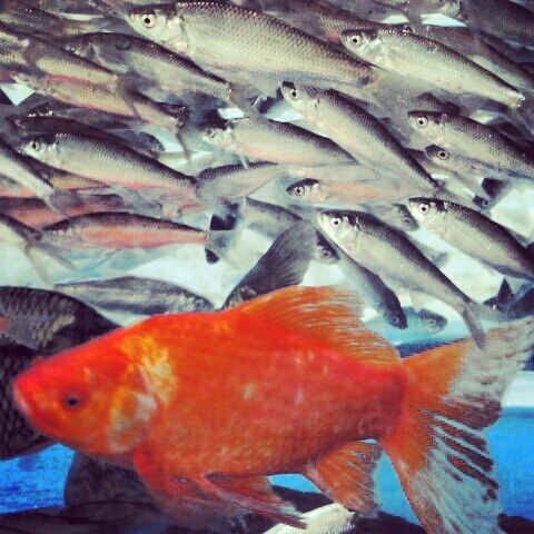 Photos of Greece & the islands by members - Page 480 | Greeka.com