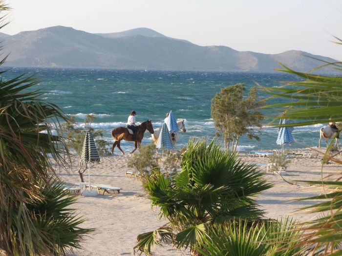 Photos of Dodecanese by members - Page 668 | Greeka.com