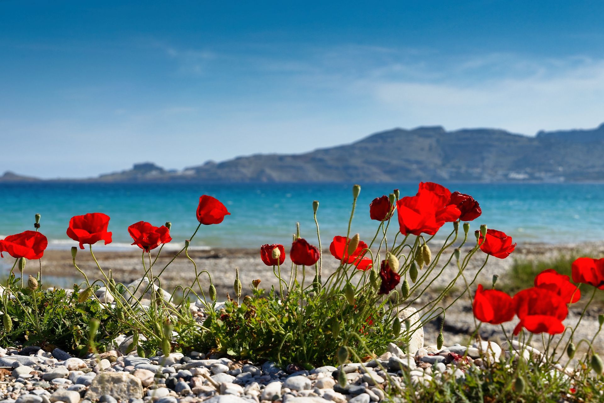 Photos of Rhodes by members - Page 2 | Greeka.com